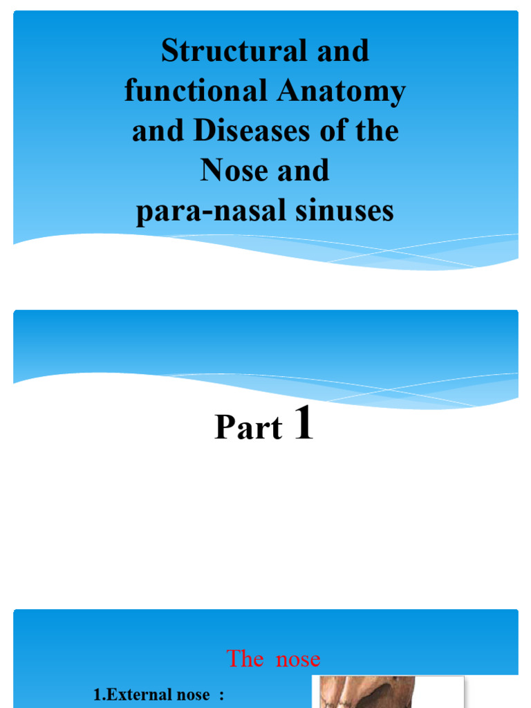 Structural and Functional Anatomy and Diseases of The Nose and ...