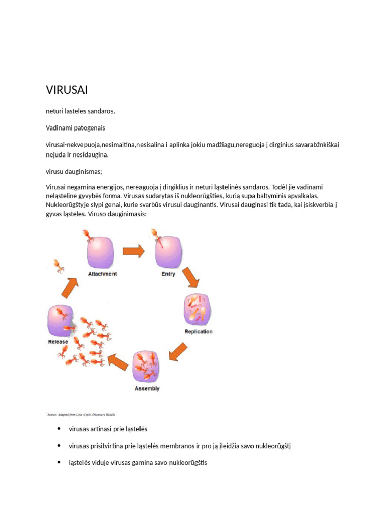 Virusai | PDF