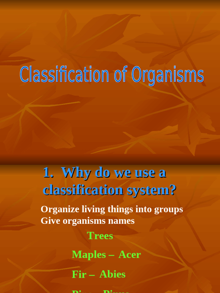 Understanding Taxonomy and Classification | PDF | Taxonomy (Biology ...
