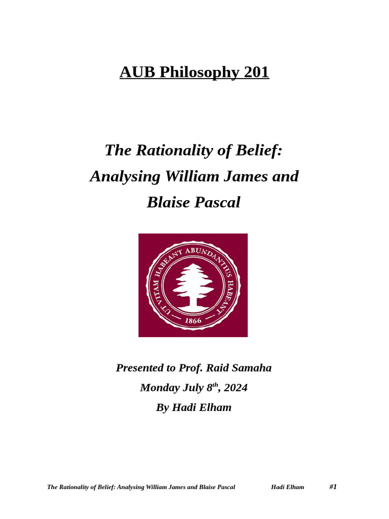 The Rationality of Belief Paper | PDF