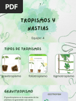 Tropismo: tipos y ejemplos en plantas | PDF | Botánica | Plantas