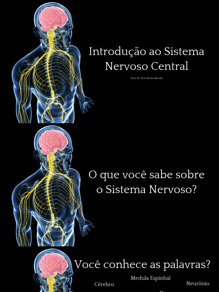 CMF 15-07-2024 | PDF