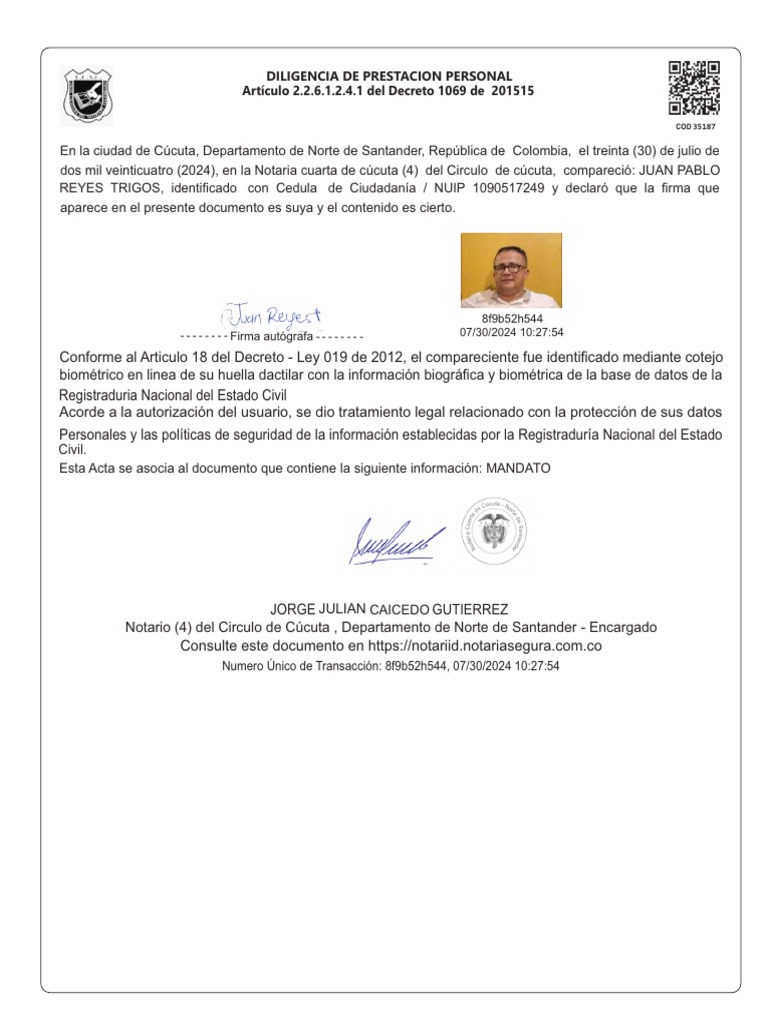 Juan Pablo Reyes | PDF