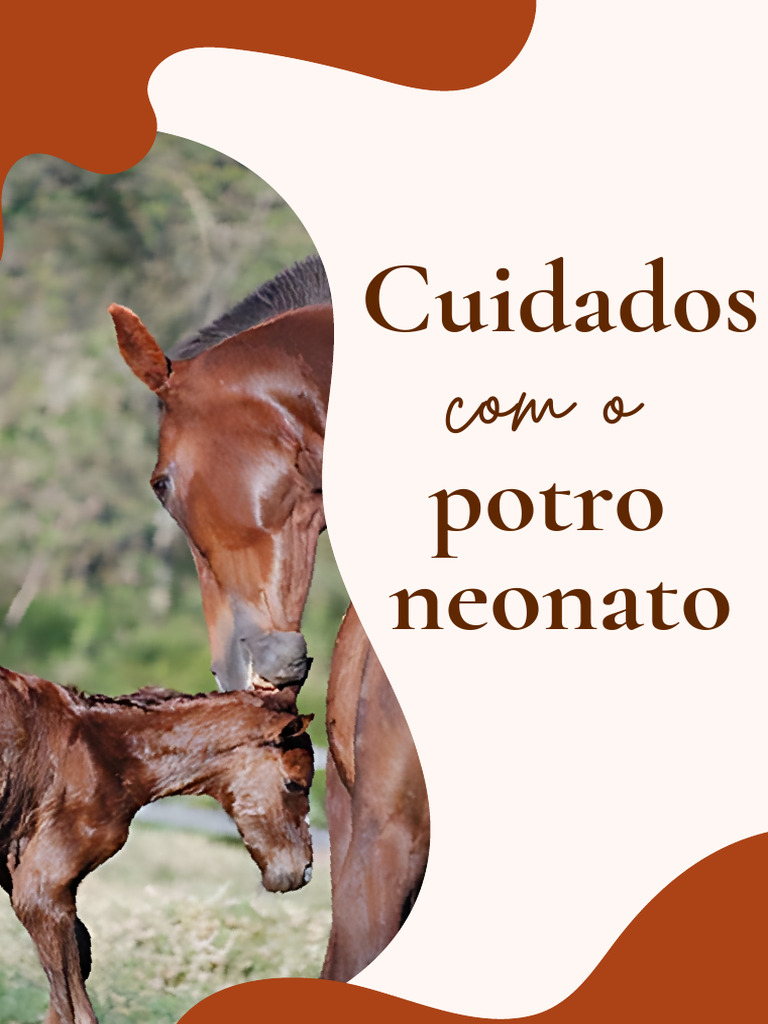 Cuidados Esenciales para Potros Neonatos | PDF | Ciencias del ...