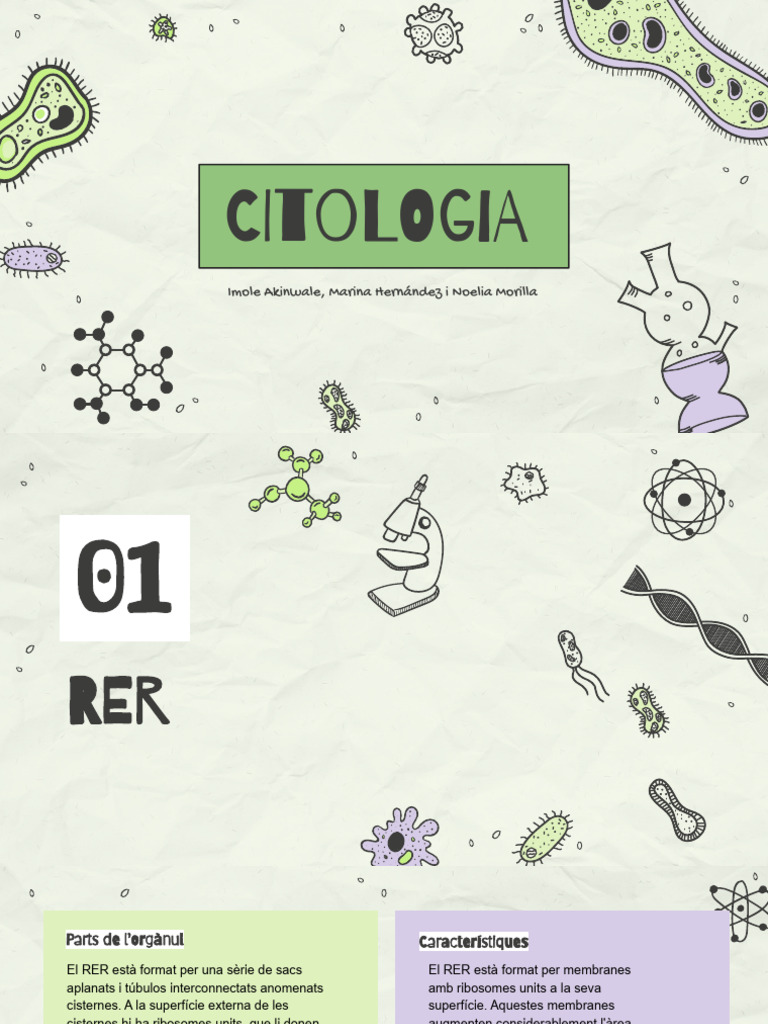 Treball Citologia Biologia | PDF