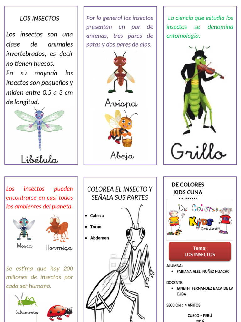 LOS INSECTOS | PDF