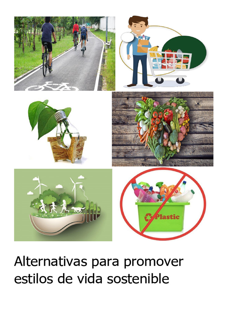 Alternativas para Promover Estilos de Vida Sostenible | PDF