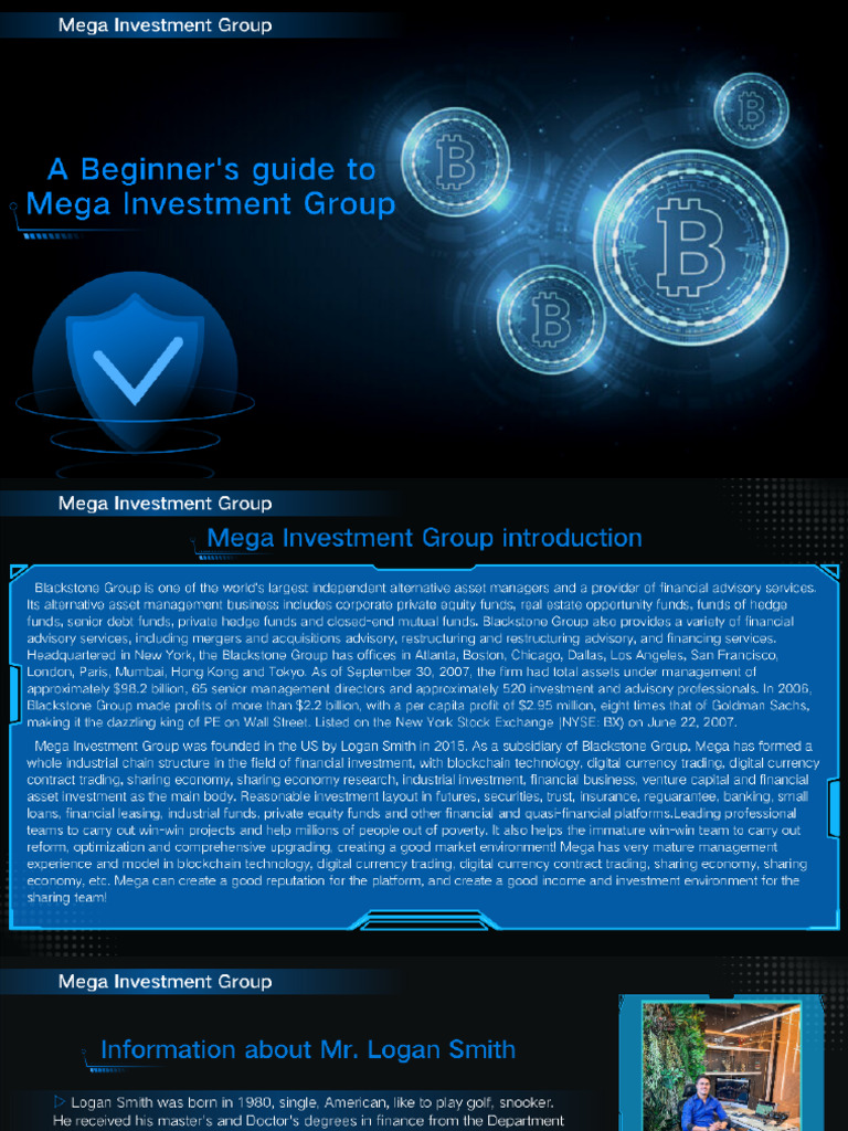 Mega team （English） | PDF