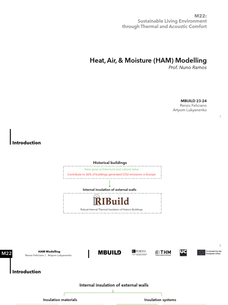 M22 - HAM Modelling - Feliciano, Lukyanenko | PDF
