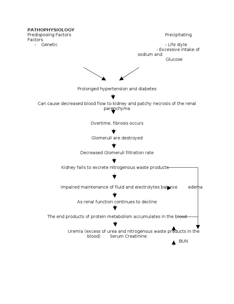 Pathophysiology of Chronic Kidney Disease | PDF | Cooking, Food & Wine ...