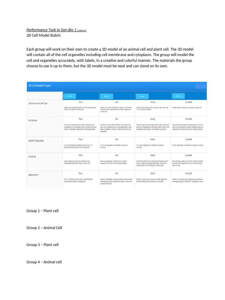 3D Cell Model Rubric | PDF