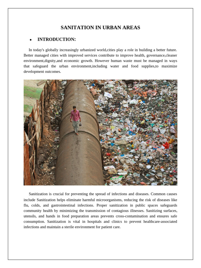 Sanitation in Urban Areas | PDF
