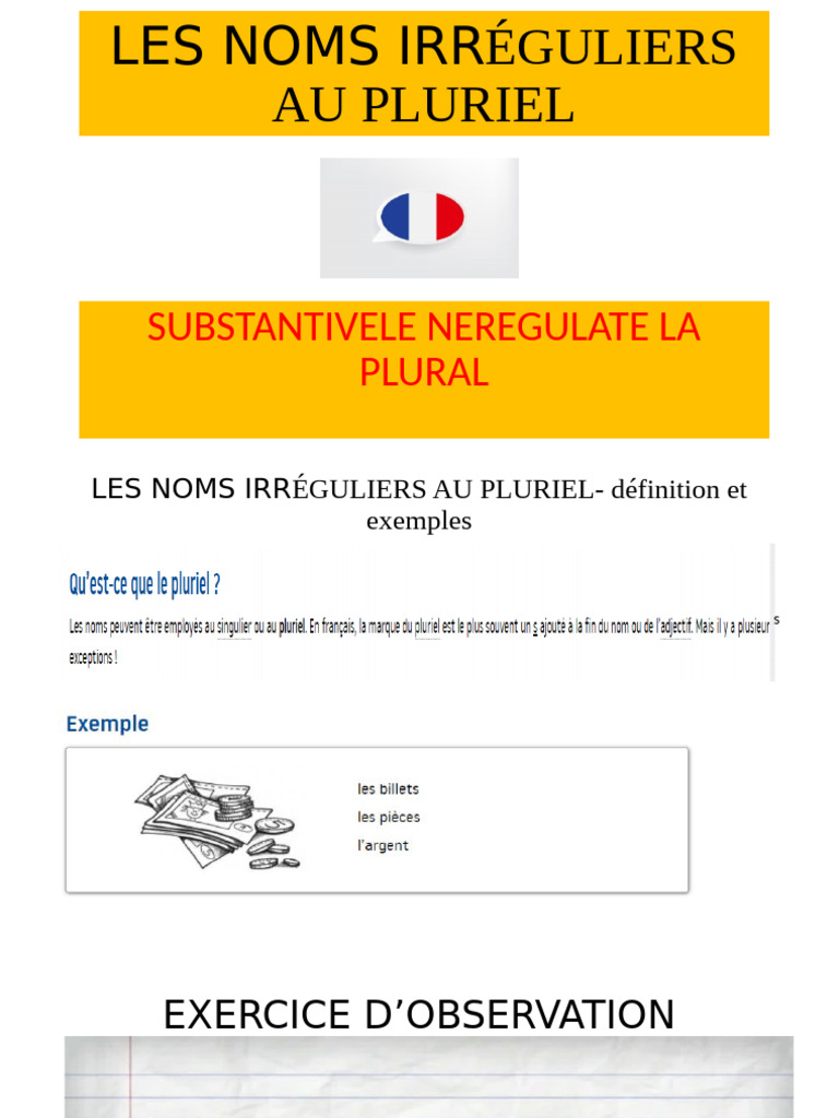 Les Noms Irreguliers-Pluriel | PDF