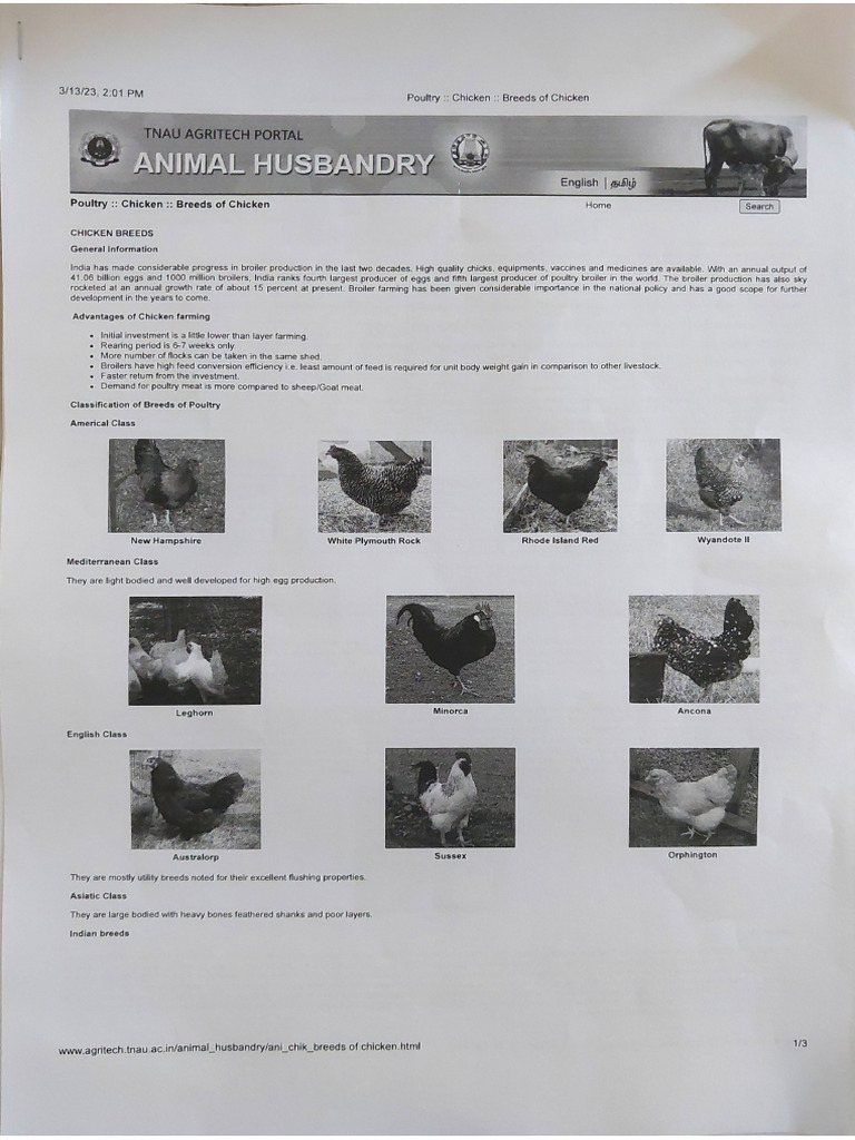 Poultry | PDF