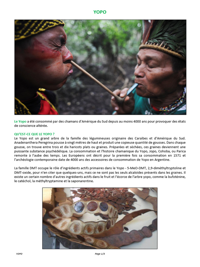 YOPO Description | PDF