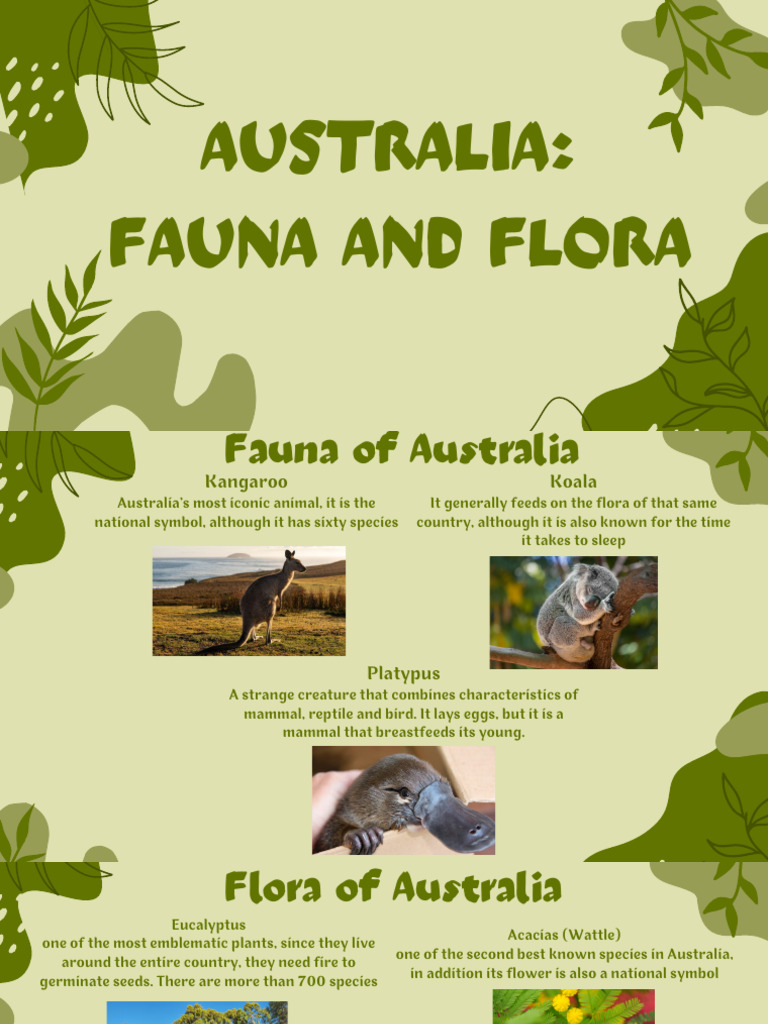 AUSTRALIA | PDF