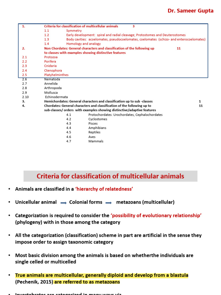 Classification | PDF