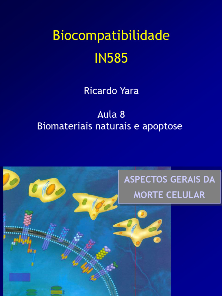 Aula 08 BIOCOMPATIBILIDADE 2023.2 MODULO 1 Biomateriais Naturais e Apoptose PARA FAZER PDF | PDF