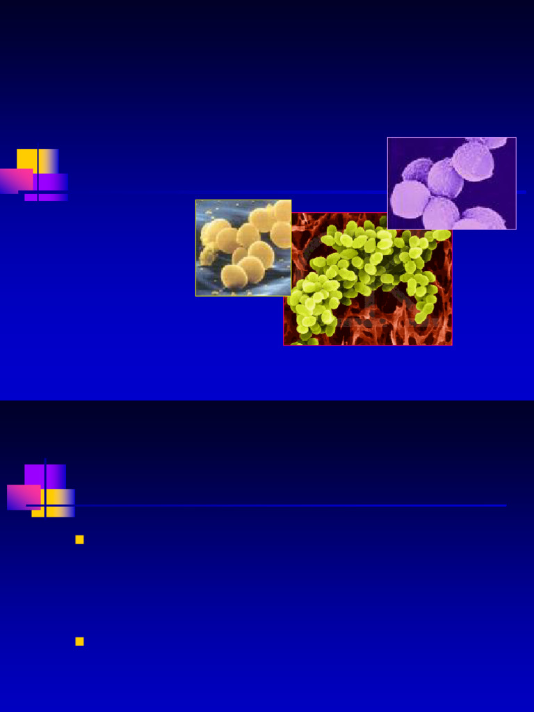 Staphylococcus SPP | PDF