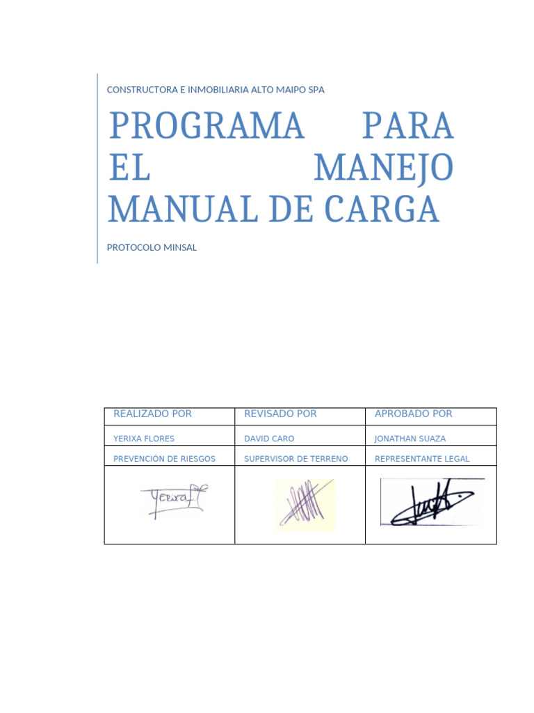 Programa para El Manejo Manual de Carga | PDF