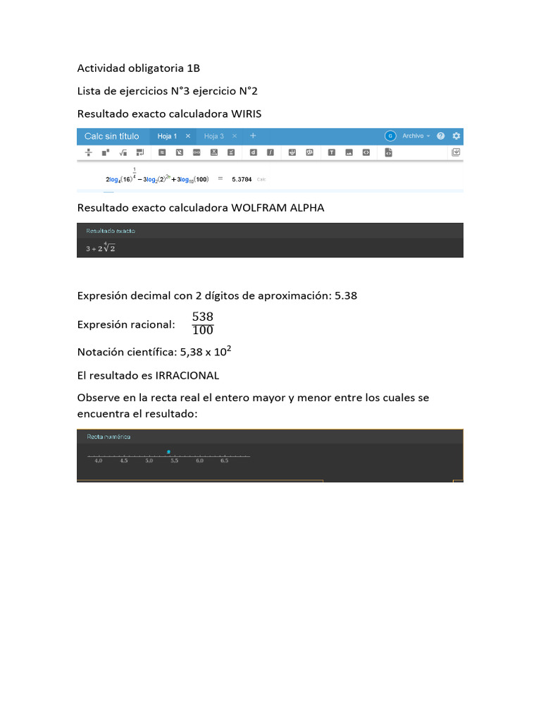 Actividad Obligatoria 1B Completa | PDF