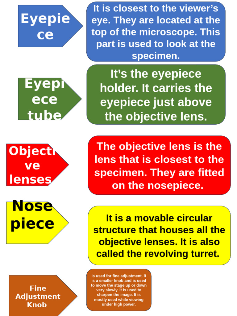 Color Match Activity | PDF