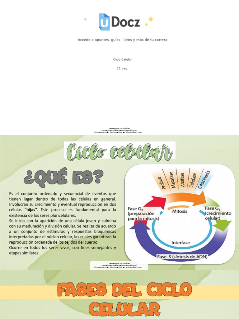 Diapositivas Ciclo C 221073 Downloadable 7147161 | PDF
