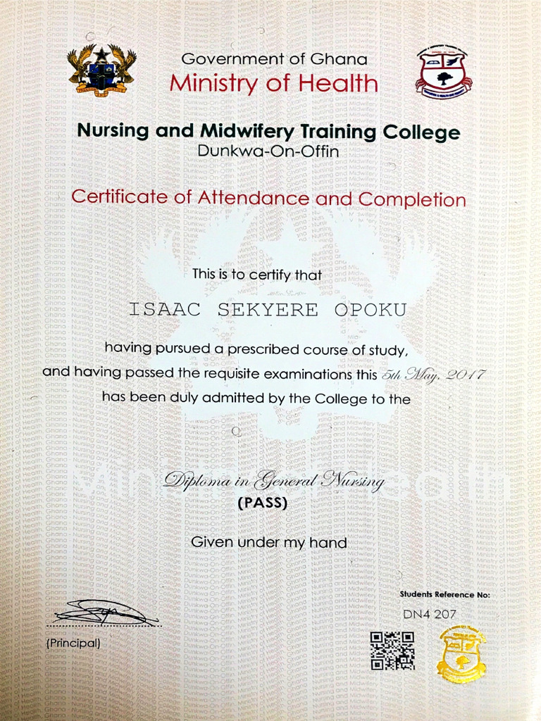 Nursing Diploma | PDF