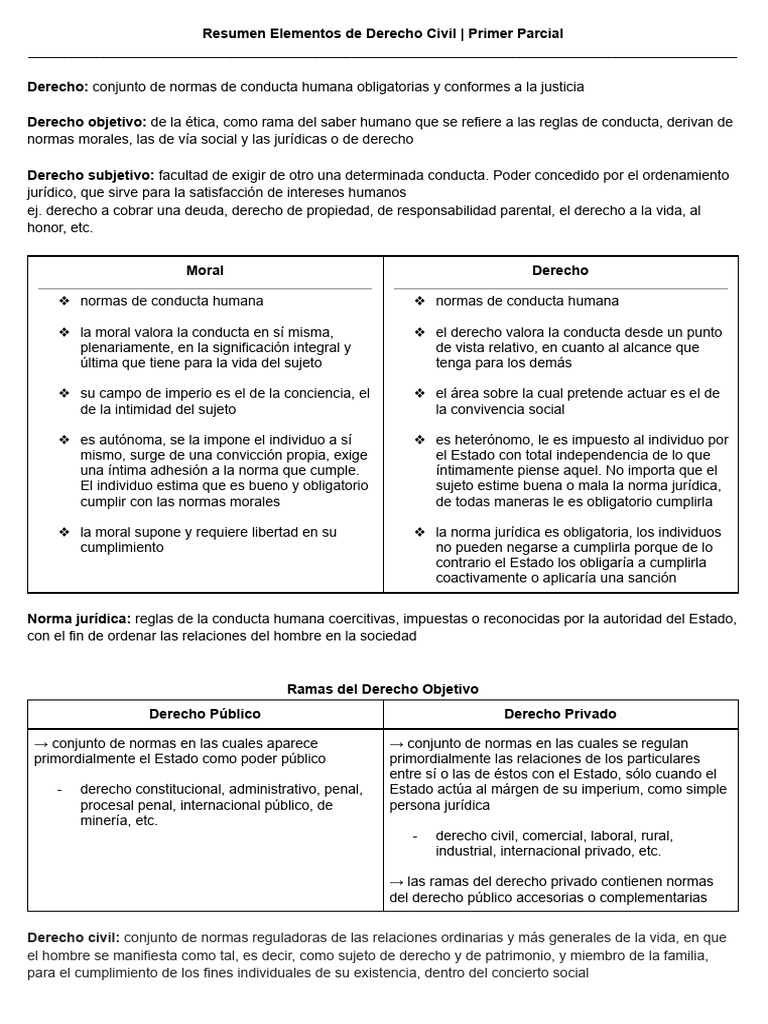 Resumen Elementos de Derecho Civil - Primer Parcial | PDF