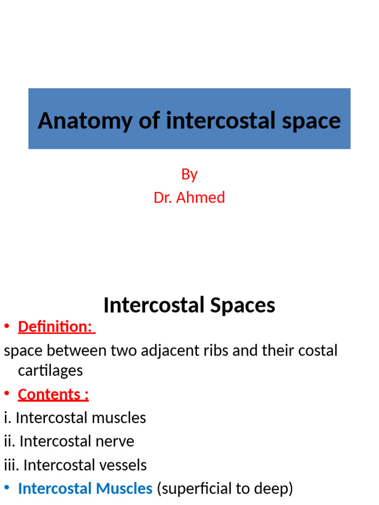 Anatomy of The Intercostal Space | PDF