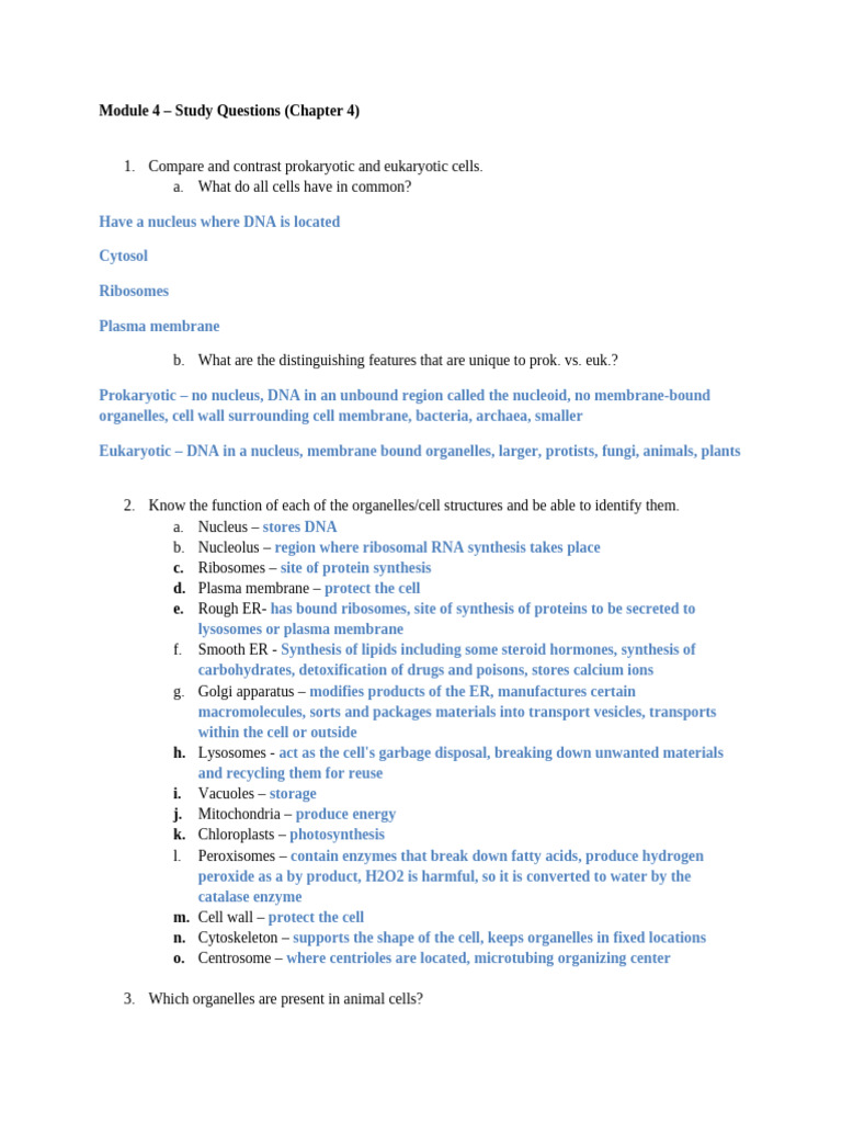 Module 4 Study Questions | PDF