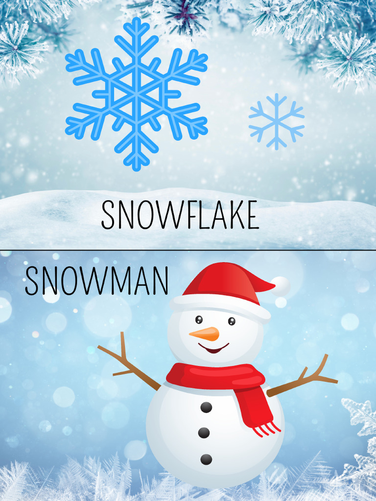 Flash Cards Winter | PDF