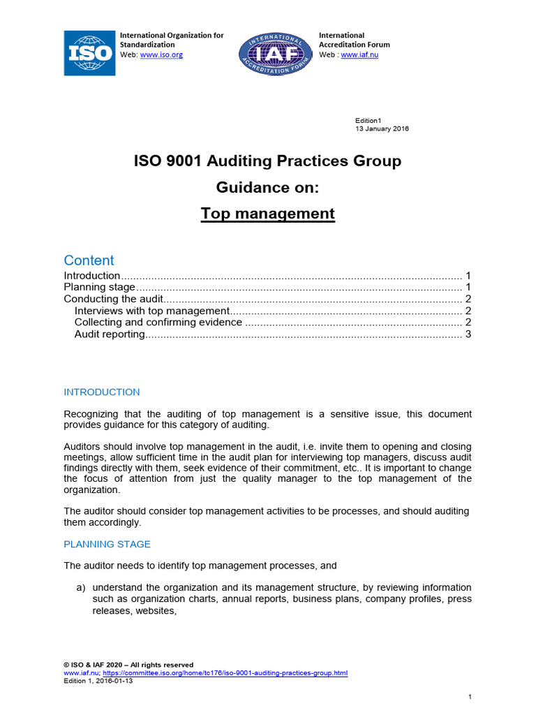 Iso Tc 176 Tf Apg Topmanagement 1 | PDF