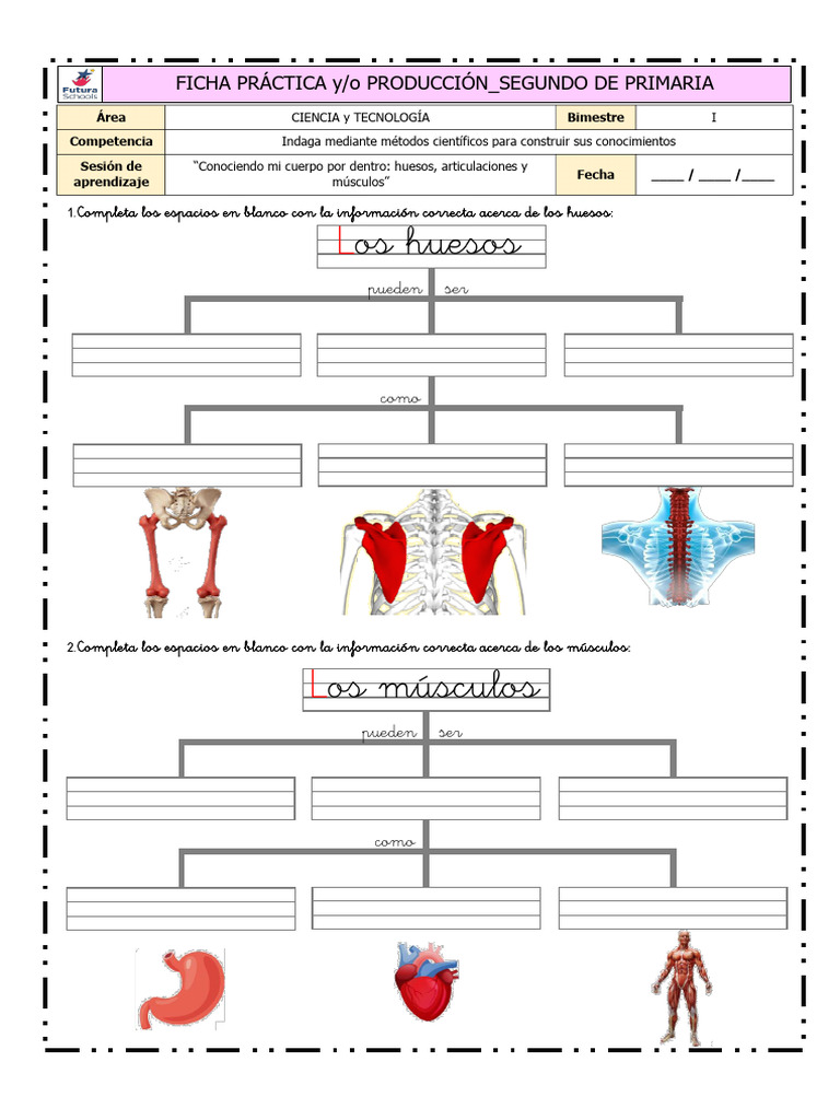PRI-2-IB-A7CyT-S3-FPP-Los Huesos, Las Articulaciones y Los Músculos | PDF