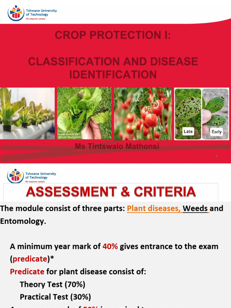 DISEASES - Lecture 2 - 2023 | PDF