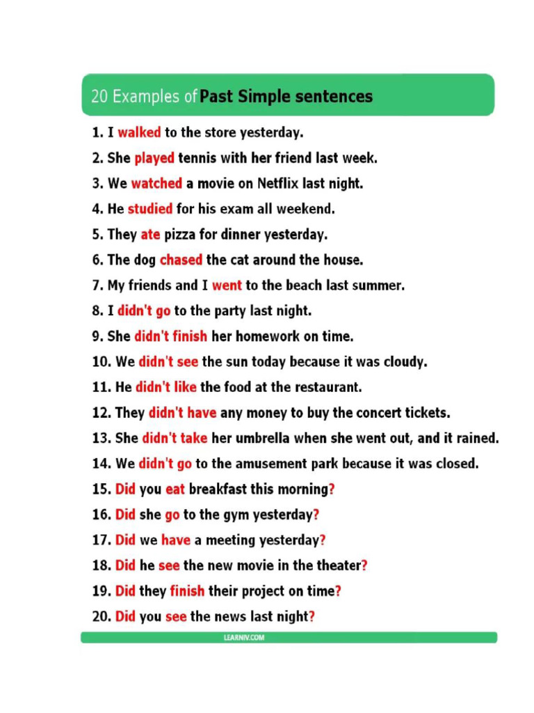 20 Past Simple Sentences | PDF