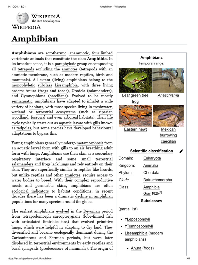 Amphibian | PDF