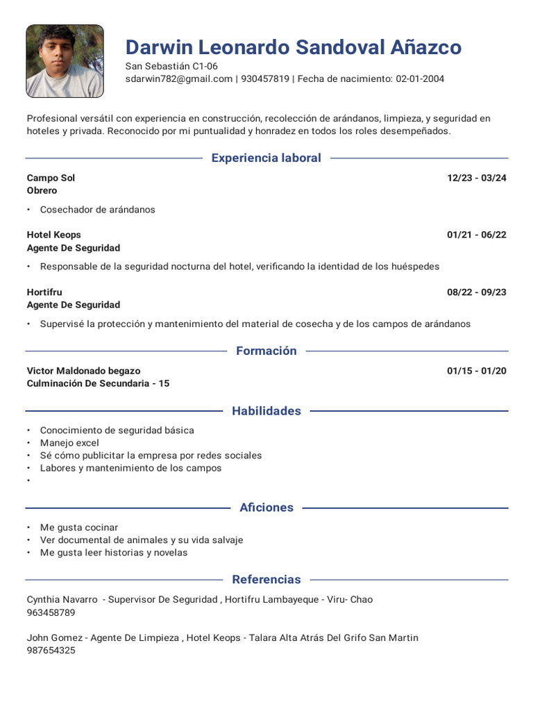 Darwin Leonardo Sandoval Añazco - CV | PDF