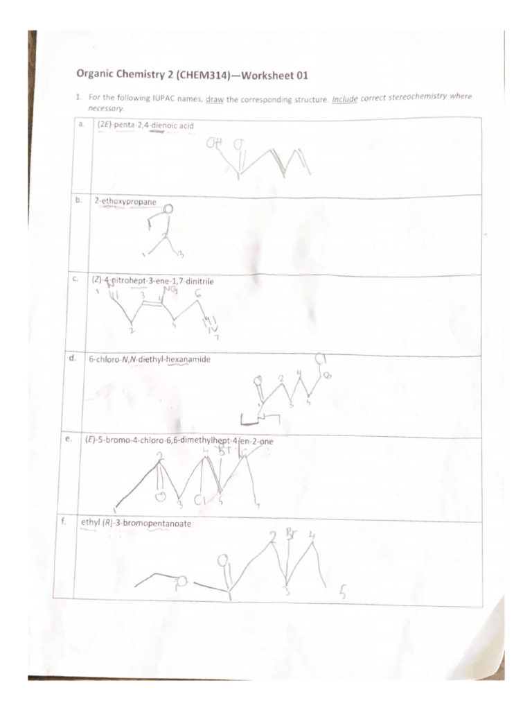 Worksheet 1 Claire Zhang | PDF