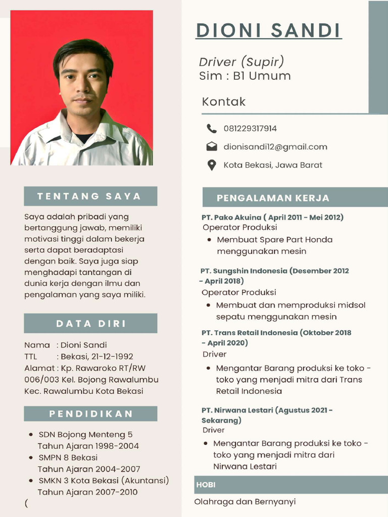 CV Dioni Sandi | PDF