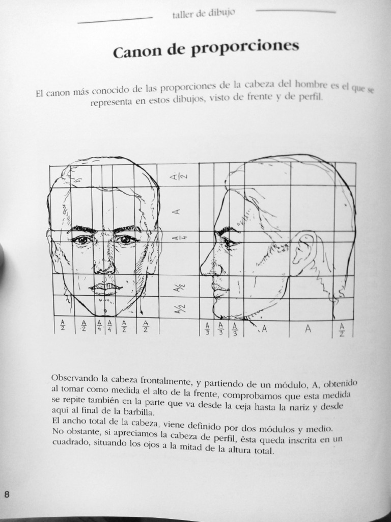 Canon de Proporciones Del Rostro para El Retrato | PDF