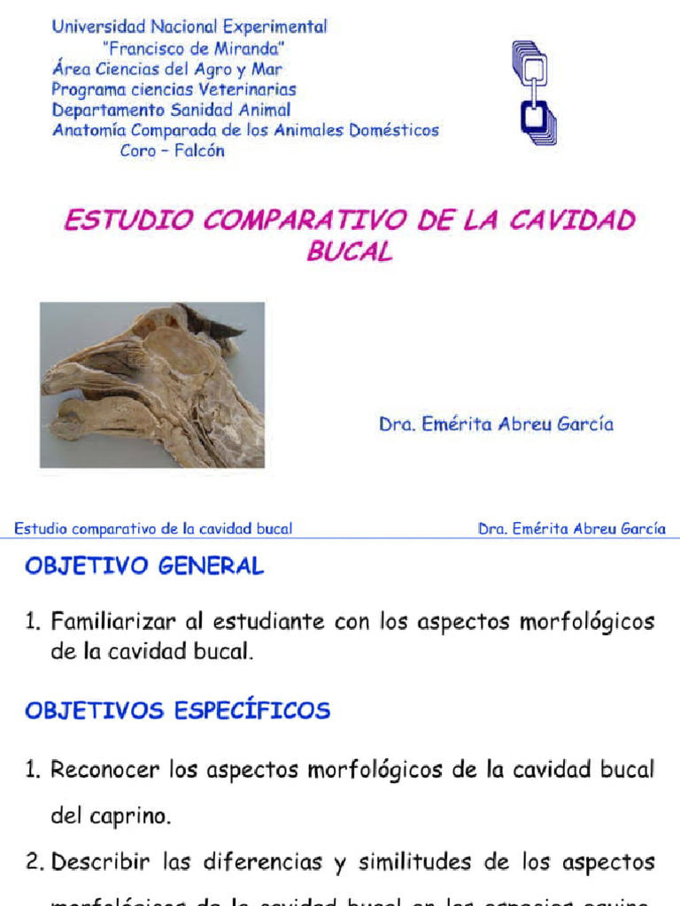 Cavidad Bucal Comparada 14658504 | PDF