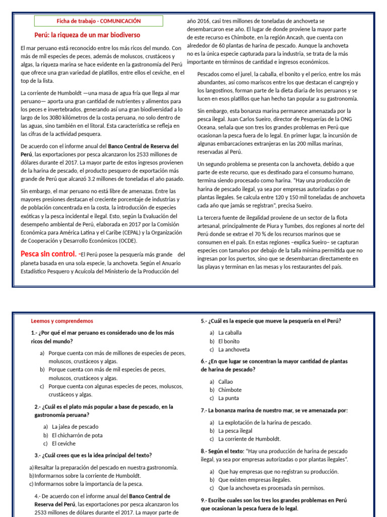 Ficha Comu 16-09 | PDF