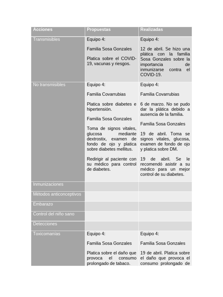 Cuadro de Acciones y Resultados - Proyecto Grupal | PDF