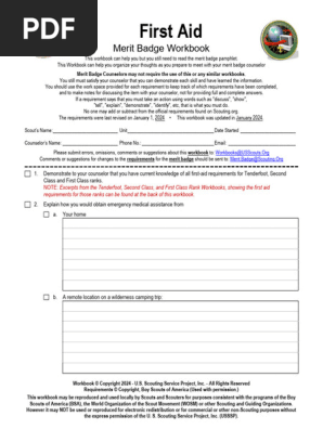 First Aid Merit Badge Worksheet Word