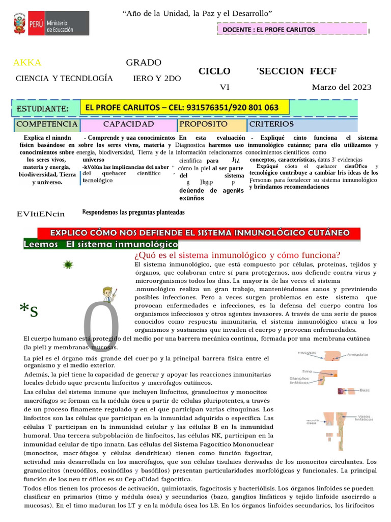 Evaluacion Diagnostica - 1ero y 2do Grado-Ciencia y Tecnologia - 00001 | PDF
