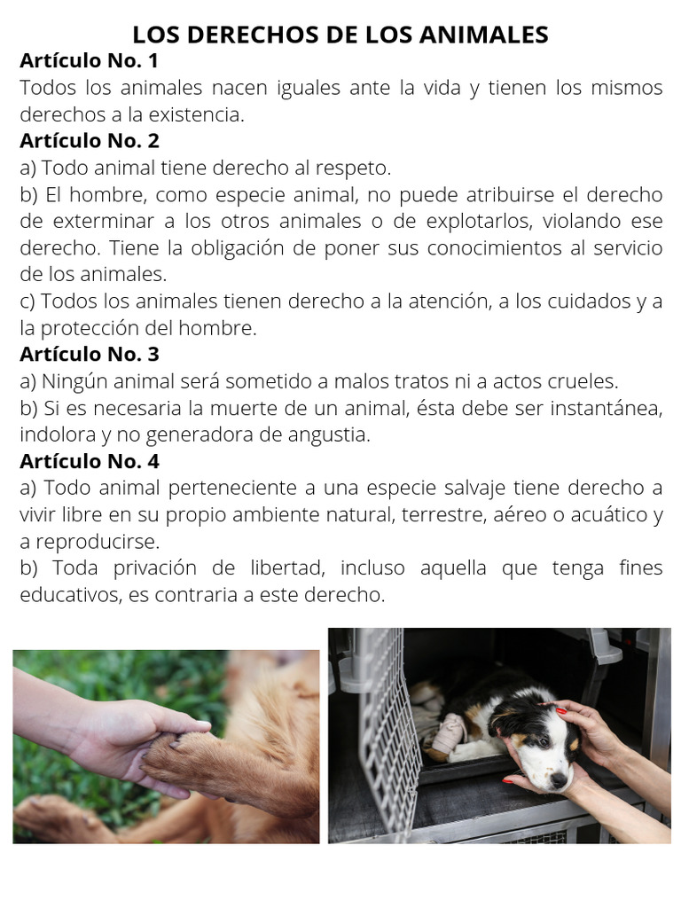 Los Derechos de Los Animales | PDF