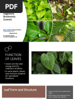 Adaptations of The Leaf For Photosynthesis and Gaseous Exchange | PDF ...