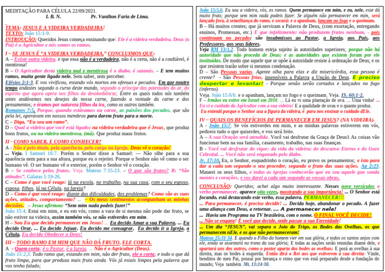 Jesus A Videira Verdadeira. | PDF