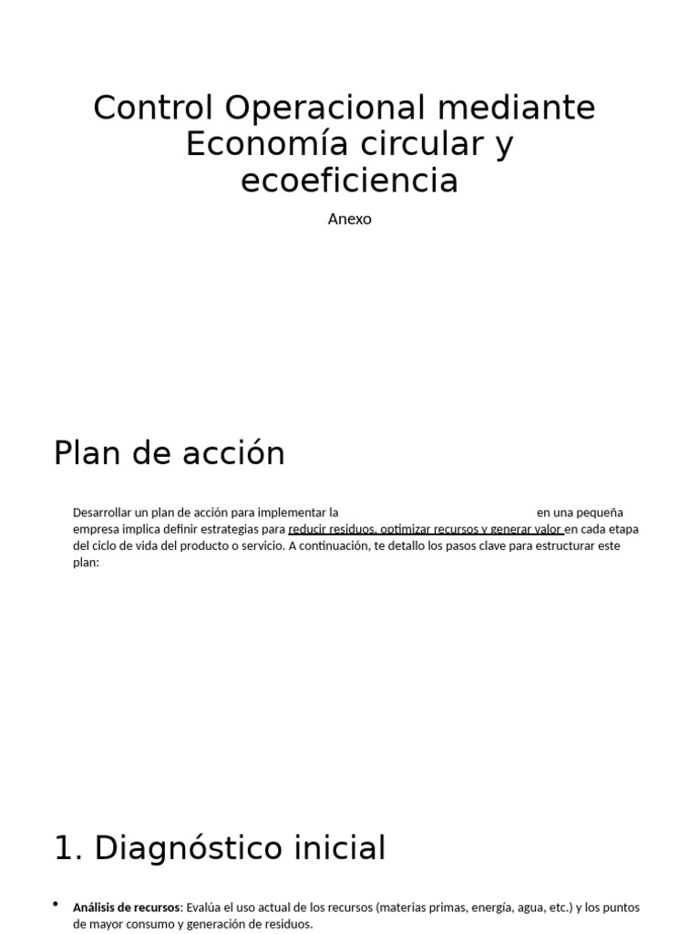 Anexo Control Operacional | PDF